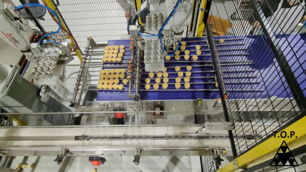 Robotic Muffin Tray Loader - Total Operations Performance Inc.